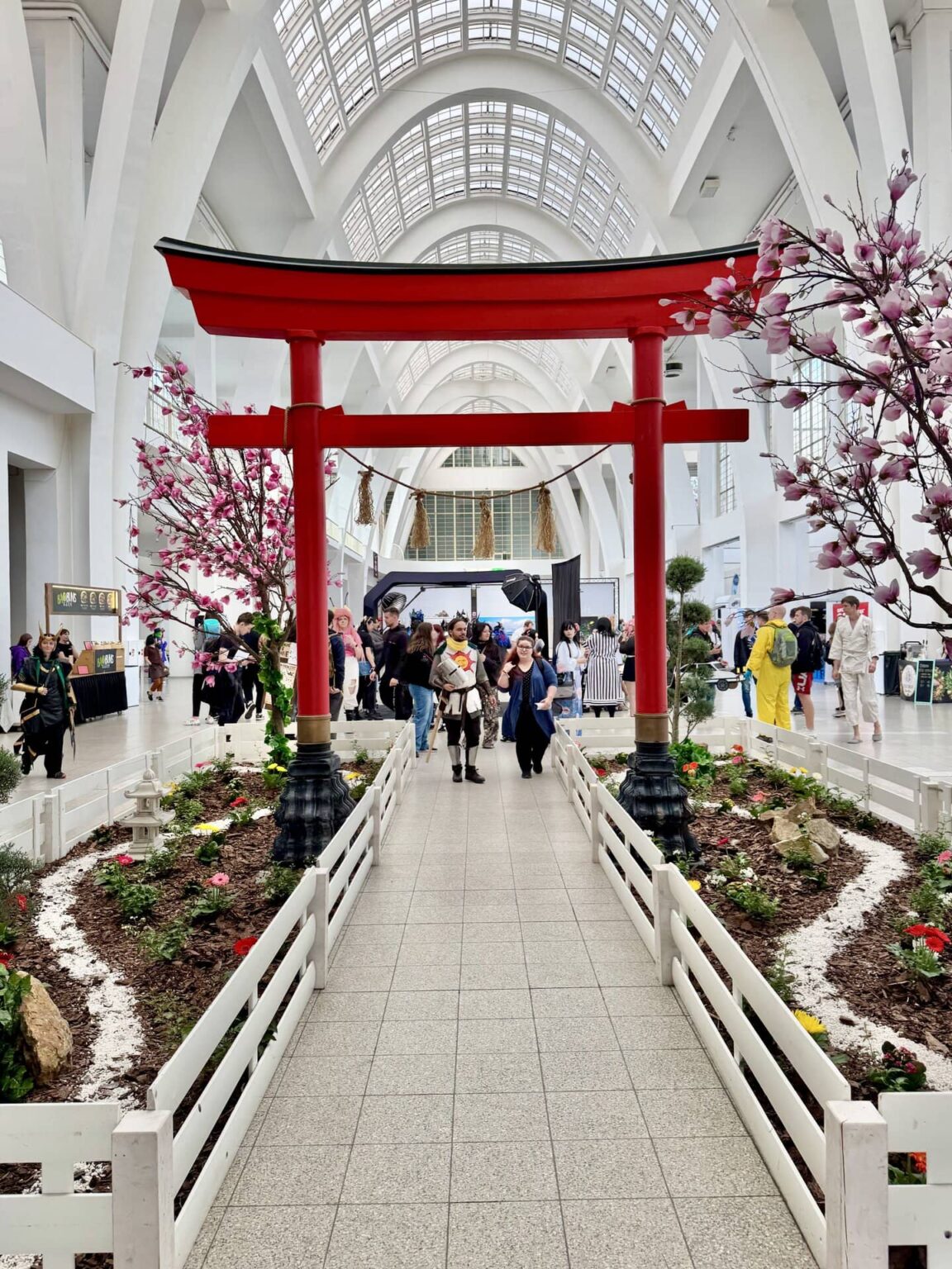 Animefest 2025 v Brně: 20 let toho největšího festivalu japonské ...