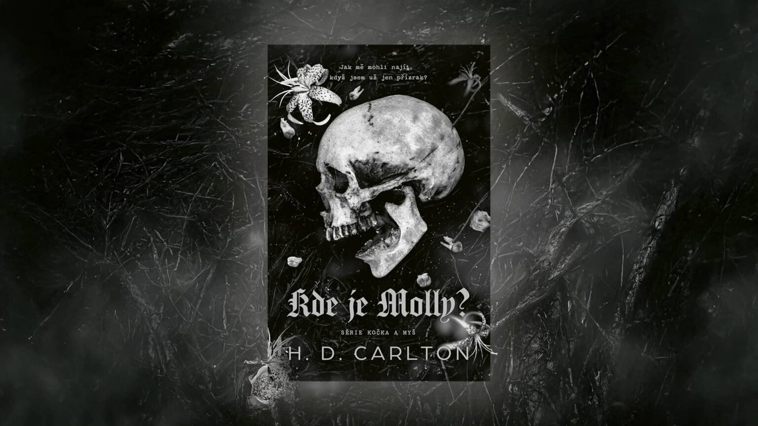 Kniha Kde je Molly? doplní sérii Kočka & myš | Gaming Professors